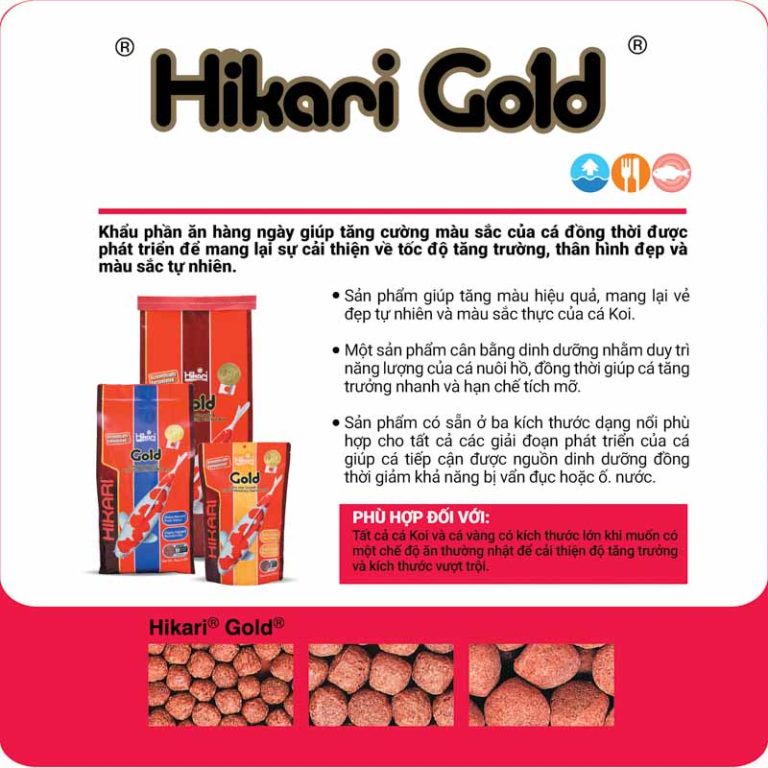 Thức ăn Cá Koi Hikari Gold